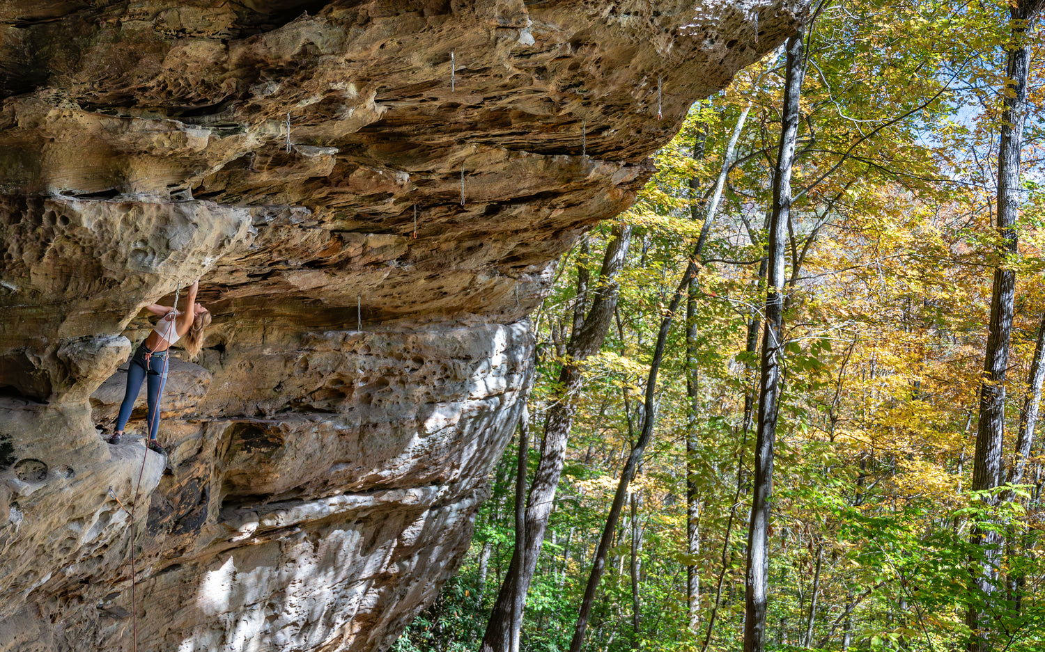 Red River Gorge Climbing Retreat | Women's Rock Climbing | She Moves ...