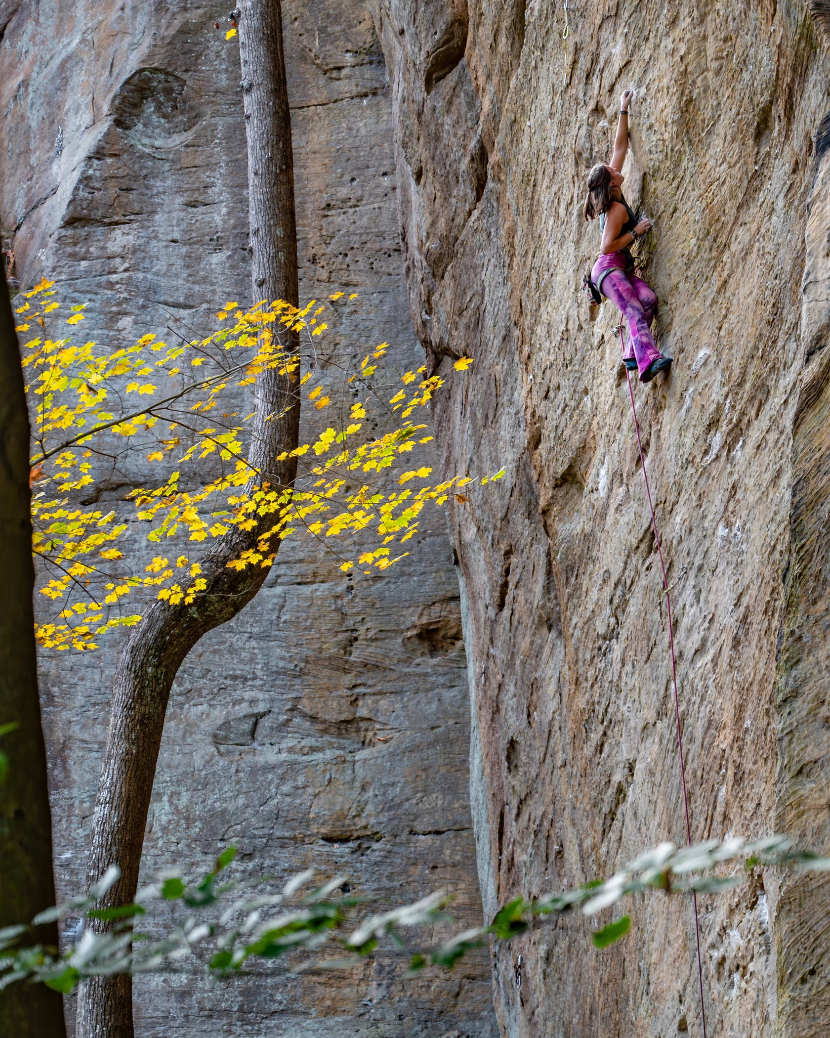 Red River Gorge Climbing Retreat | Women's Rock Climbing | She Moves ...